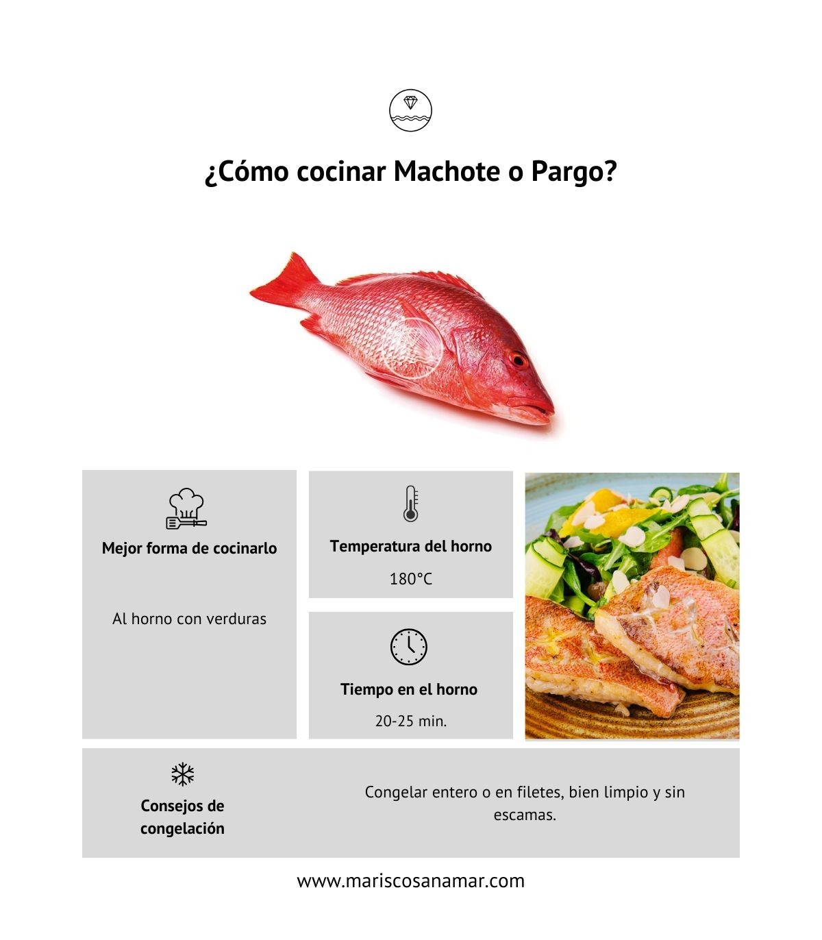 Machote Pargo | ¡Compra Pescado Online! | Envío 24 Horas