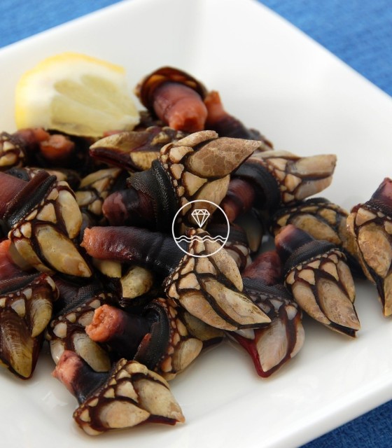 Tipos de Percebes: Cómo Elegir el Mejor según su Calidad y Sabor