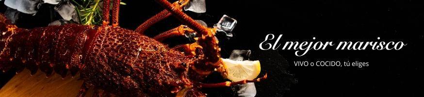 Marisco del Cantábrico a Domicilio | Envío 24 Horas | Mariscos Anamar