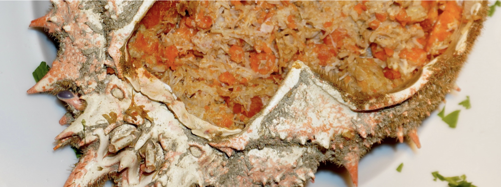 La Temporada del Centollo Gallego: Propiedades, Selección y Receta Clásica